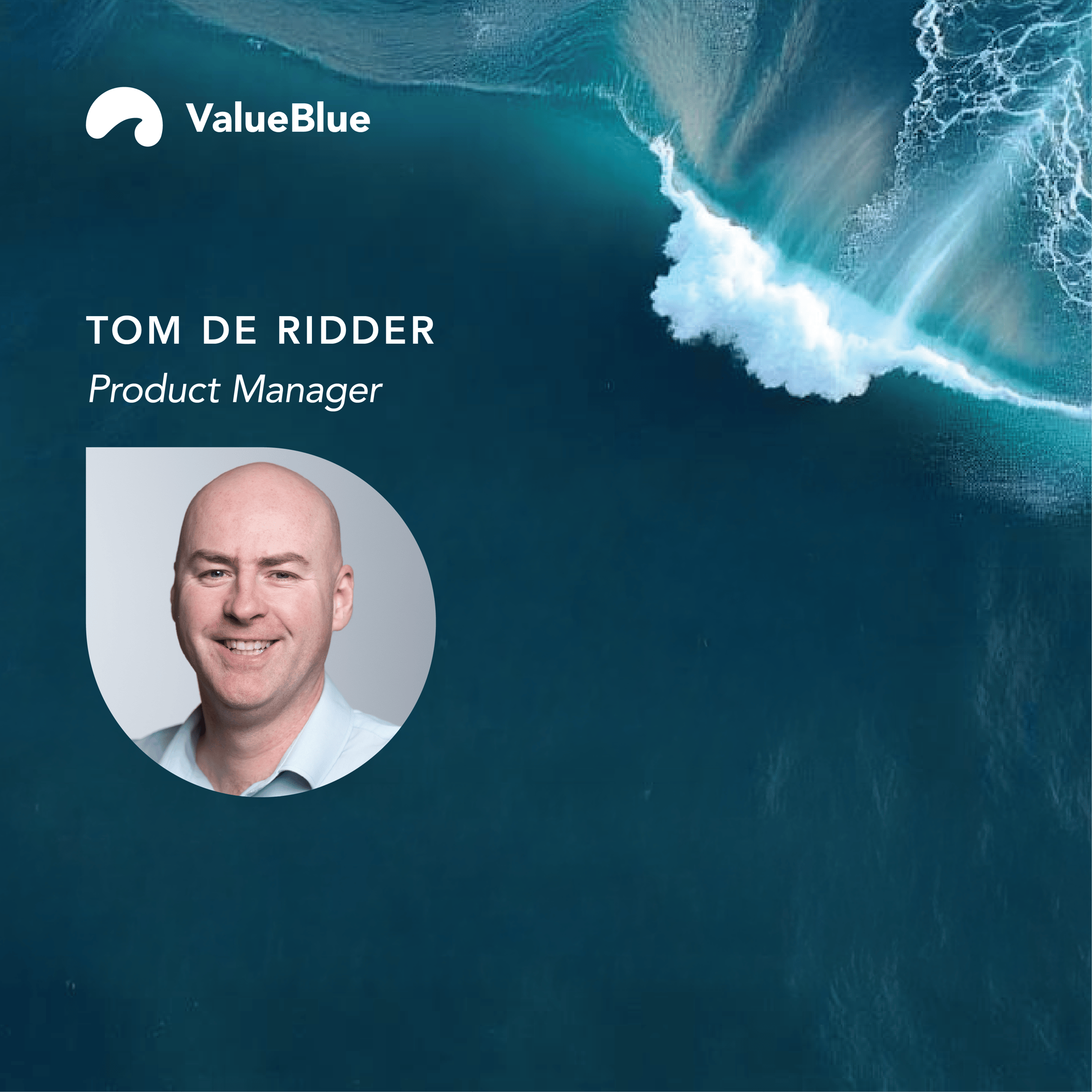 BlueDolphin Waves: Product & Roadmap Updates January 2026